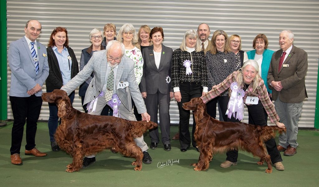 ISBC Championship Show 2023 - isbc.org.uk