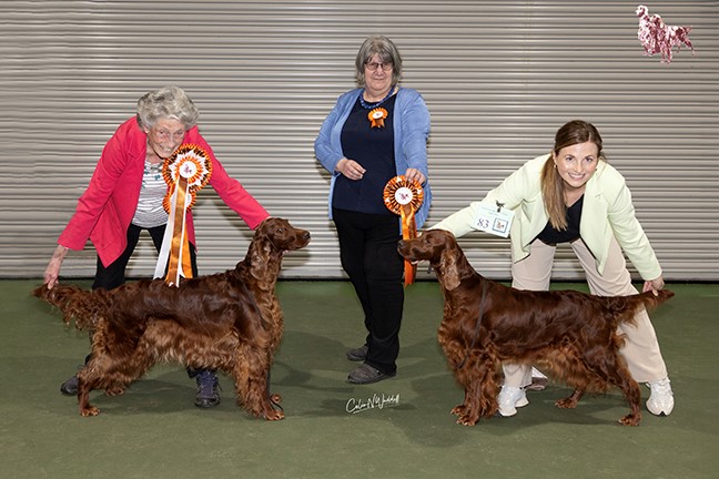 Kate O`Callaghan Memorial Show 23/03/24 - isbc.org.uk