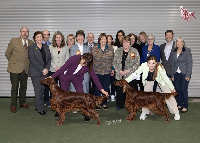 ISBC Championship Show March 2024 - isbc.org.uk