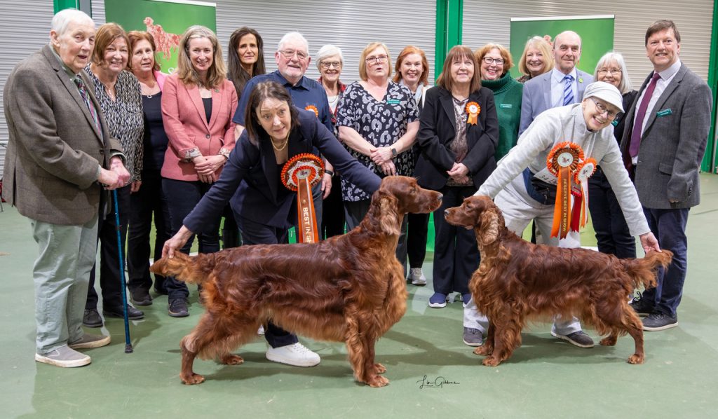 ISBC Championship Show March 2025 - isbc.org.uk