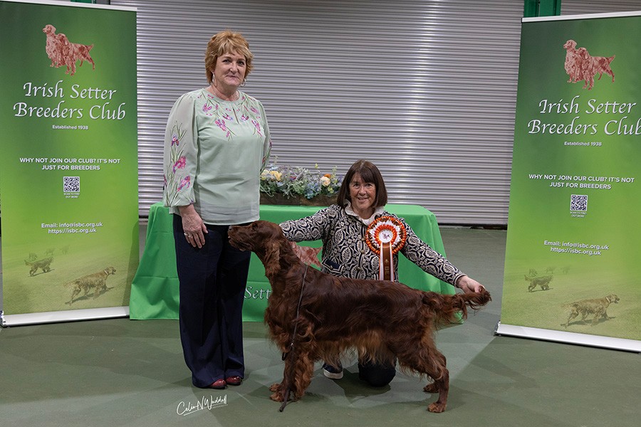 Kate O`Callaghan Memorial Show 29th March 2025 - isbc.org.uk