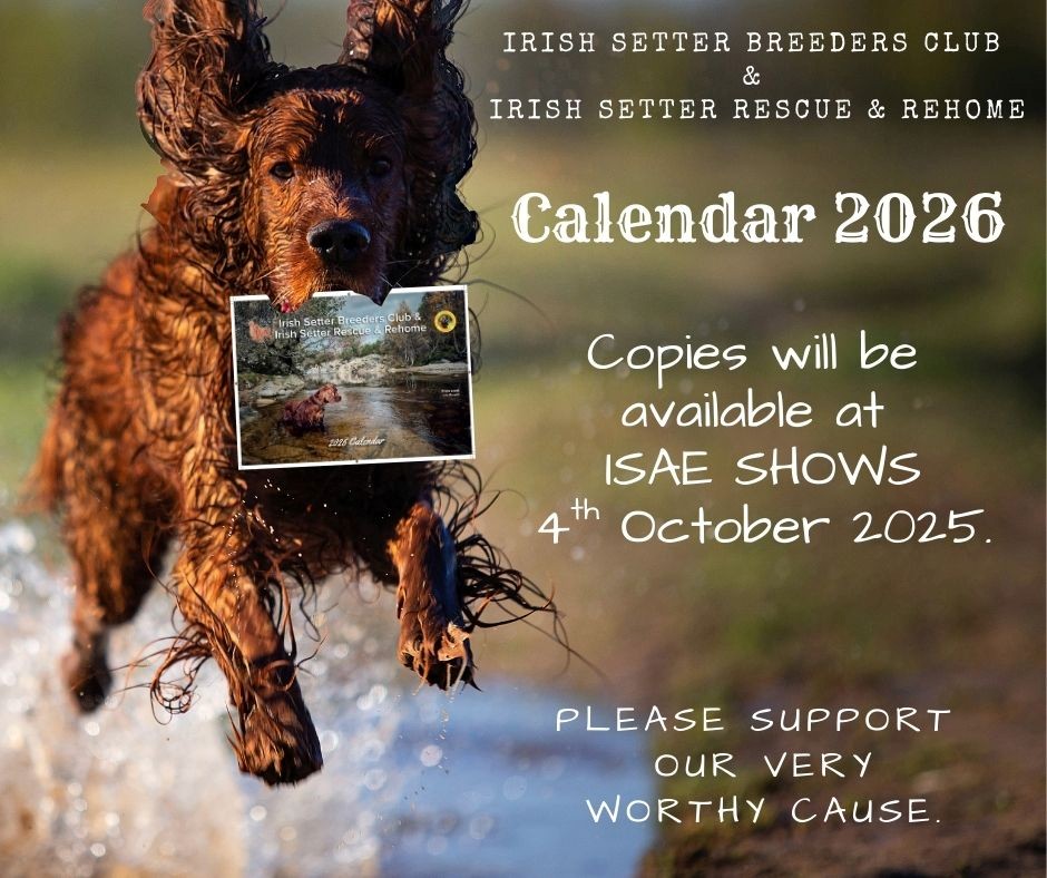 HOME PAGE - isbc.org.uk