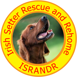 Rescue - isbc.org.uk